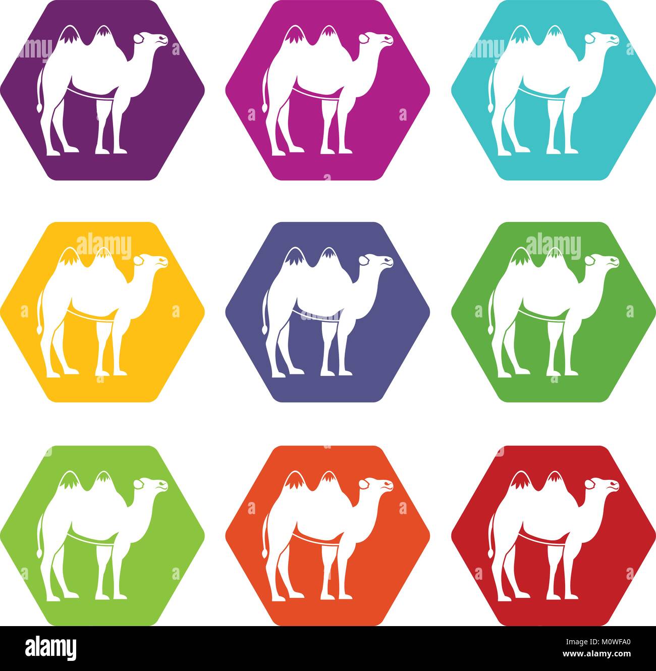 Camel icon set color hexahedron Stock Vector Image & Art - Alamy