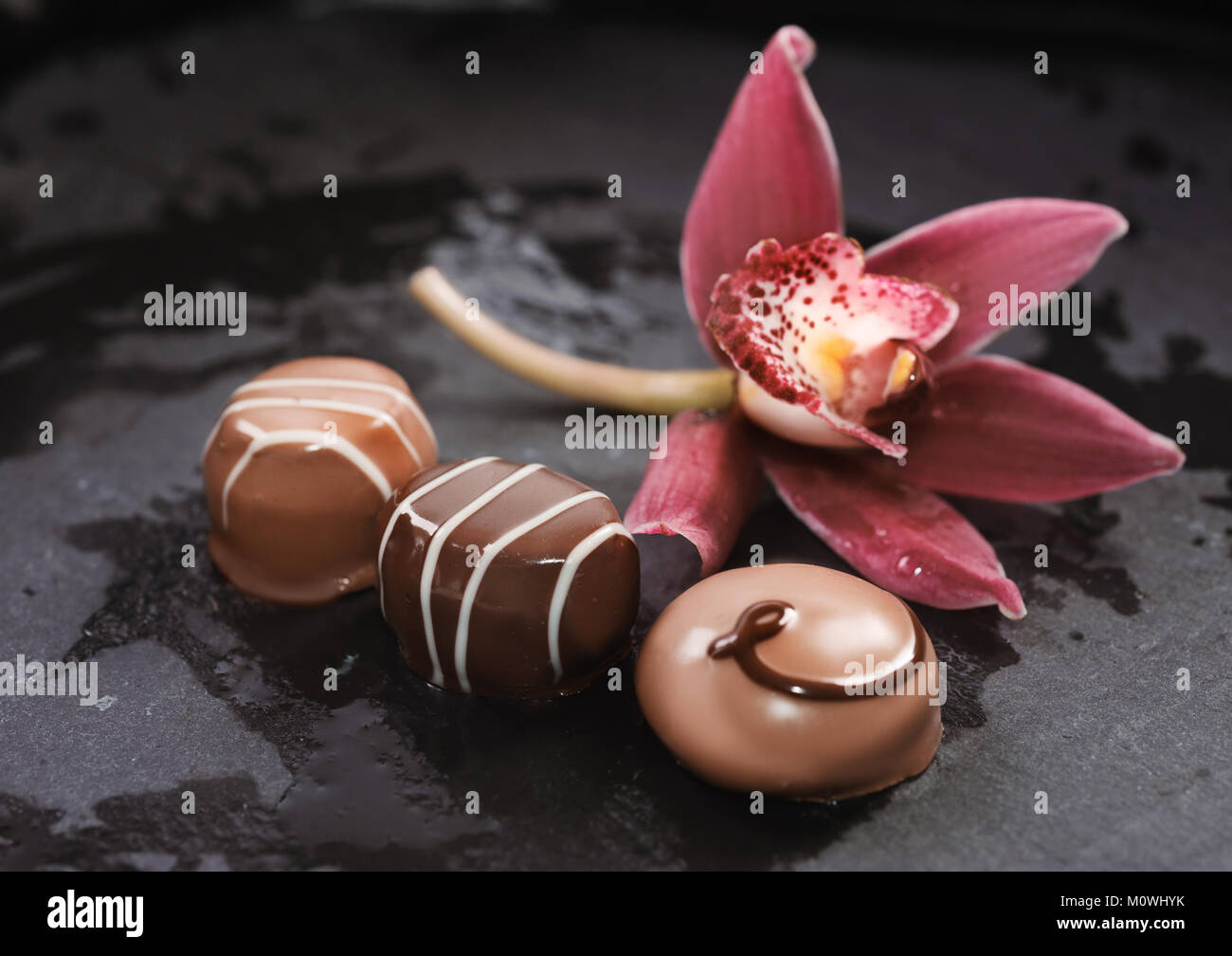Chocolate pralines and an rchid flower on black stone surface Stock ...
