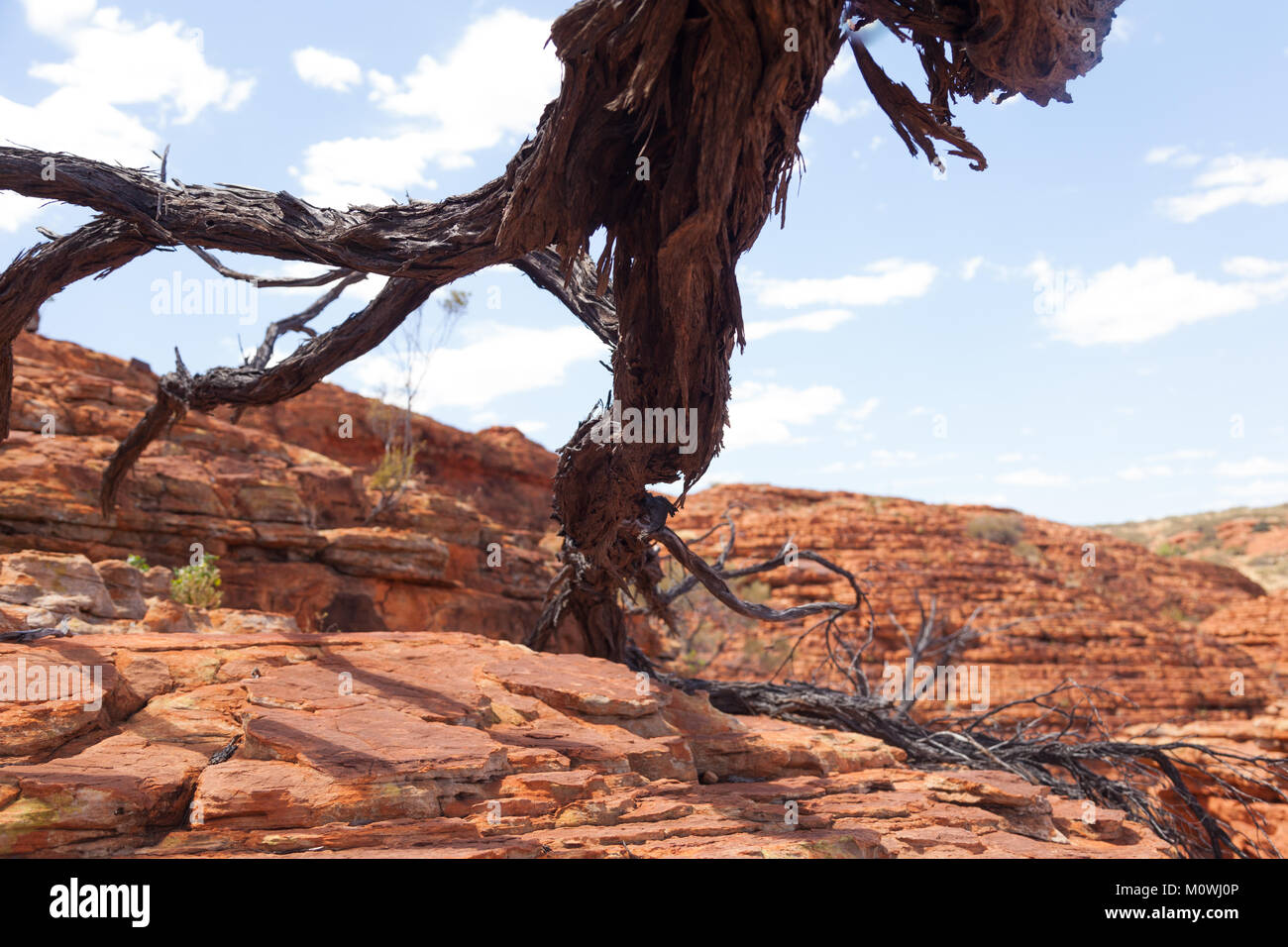 Red centre earth hi-res stock photography and images - Alamy