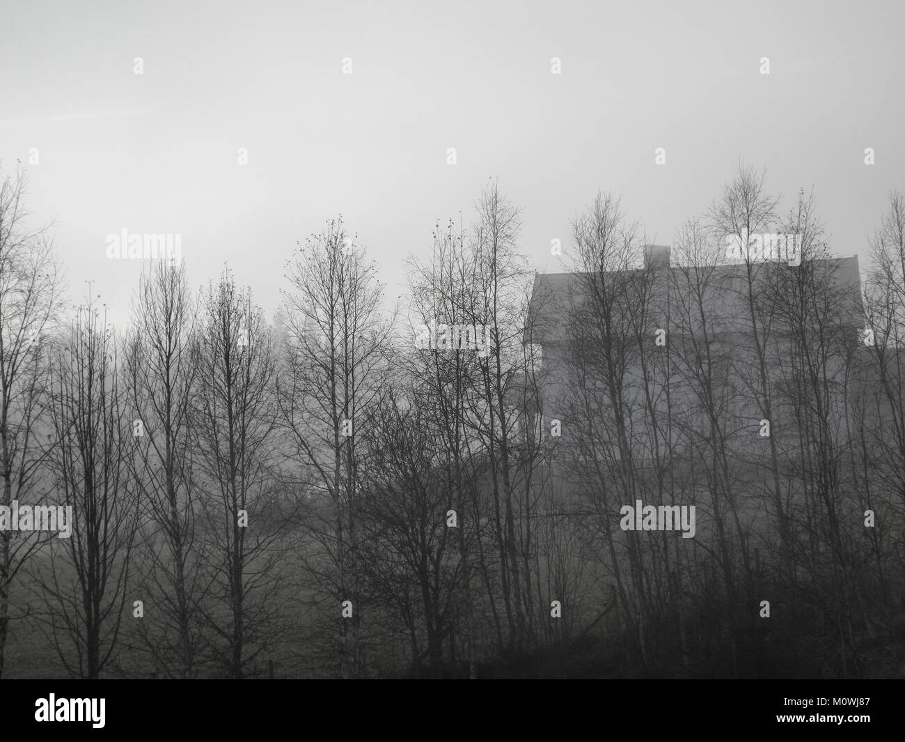 Spooky house with trees and fog Stock Photo - Alamy