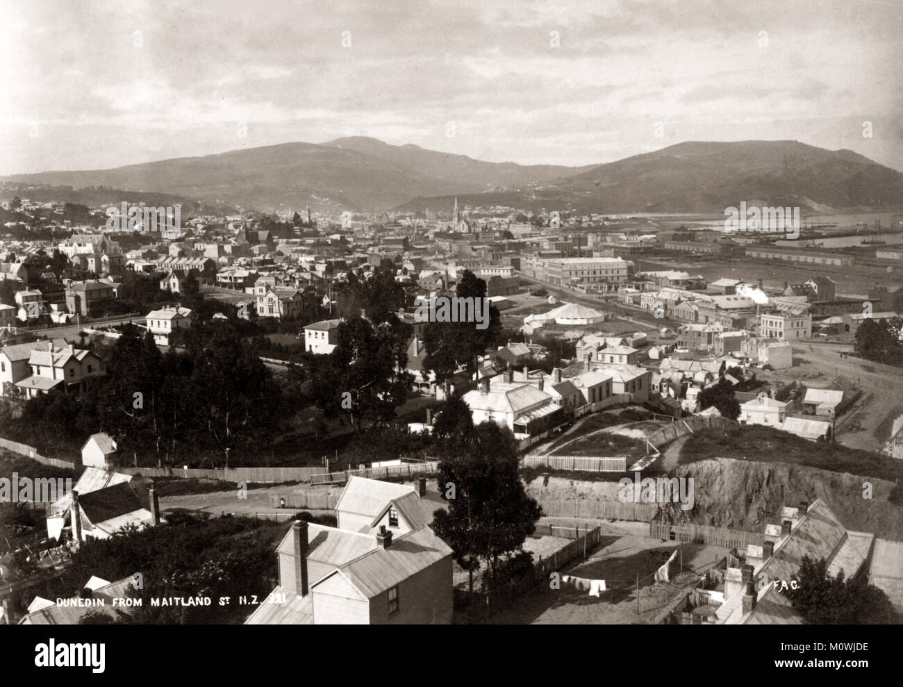 Dunedin history hi-res stock photography and images - Alamy