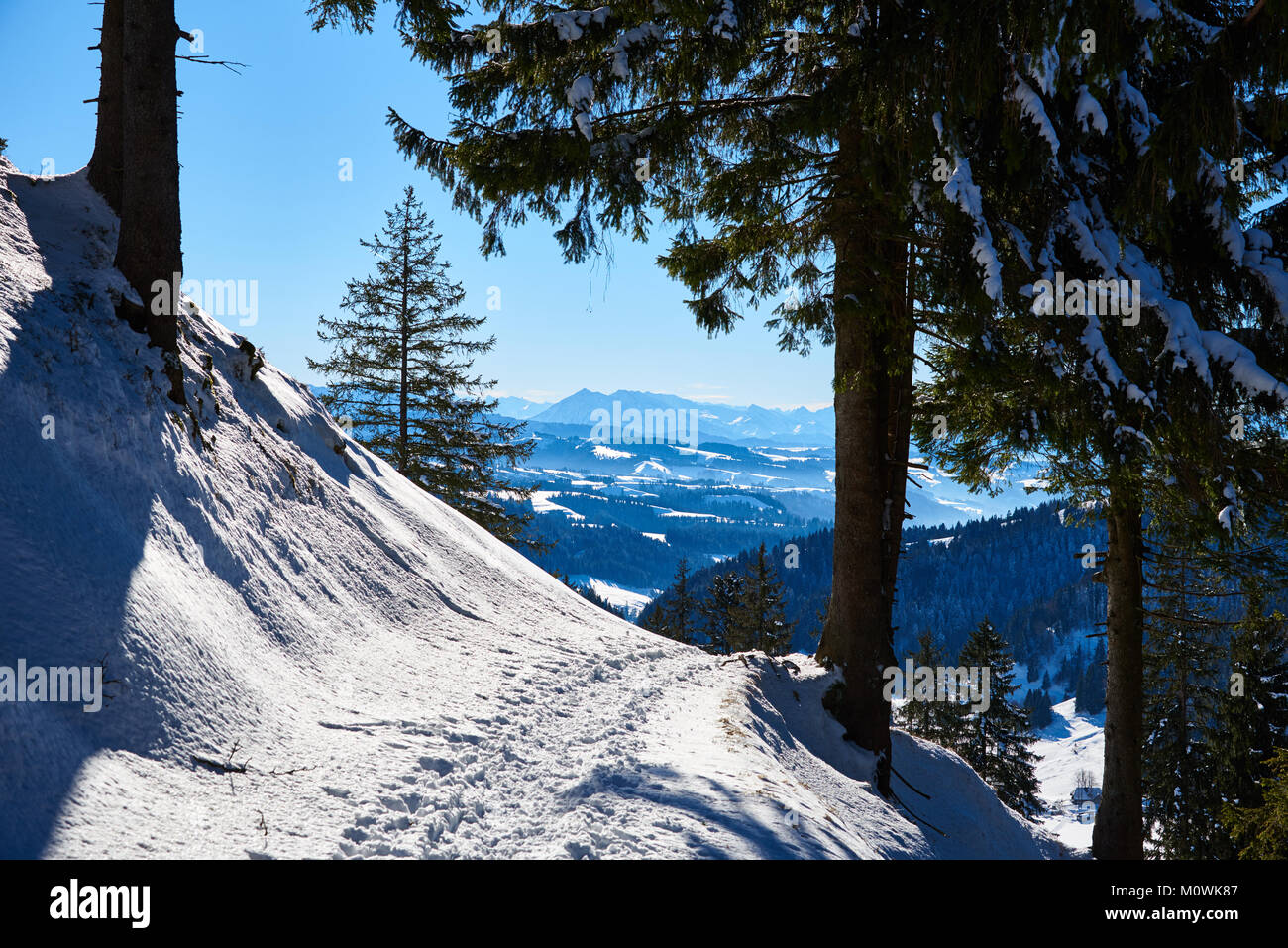 Swiss day hi-res stock photography and images - Alamy