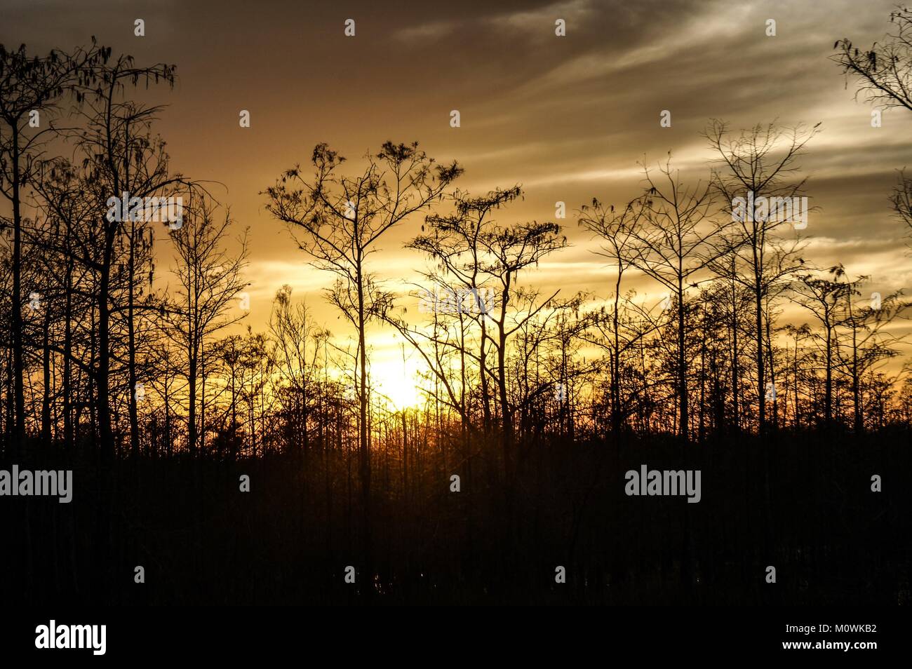 Louisiana bayou sunset hi-res stock photography and images - Alamy