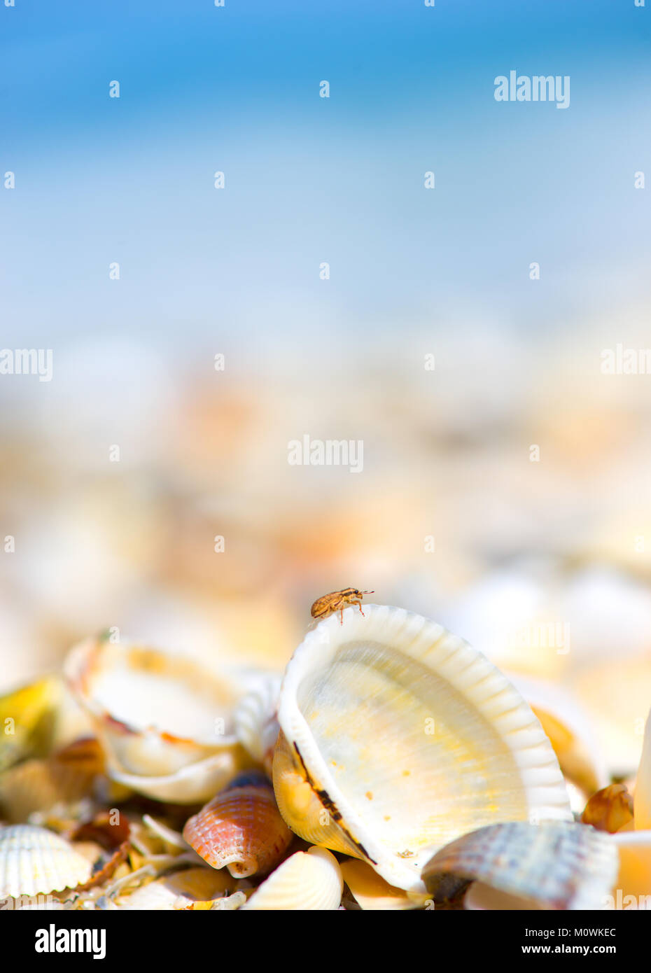 Sand sizes hi-res stock photography and images - Alamy