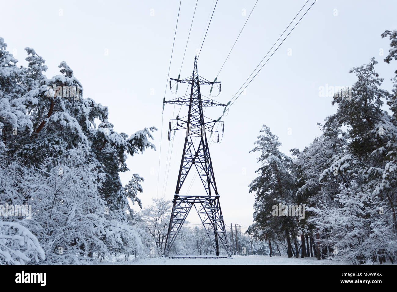 Powerline cables hi-res stock photography and images - Alamy