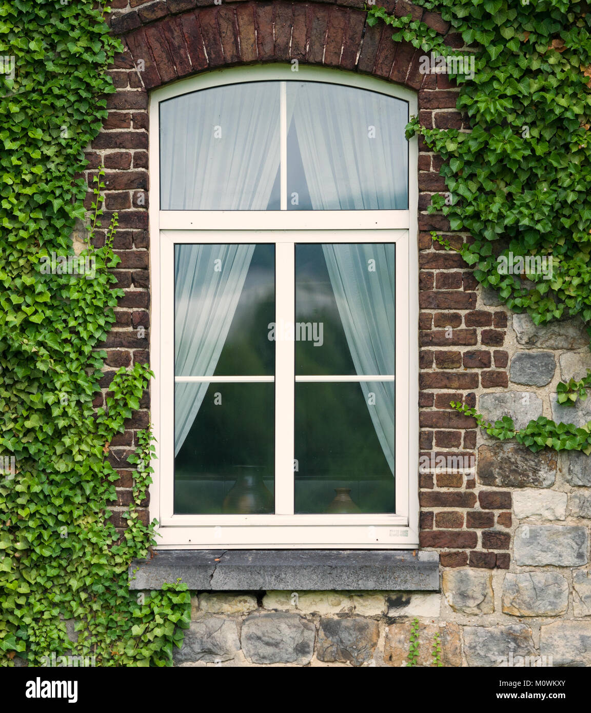 Stylized ivy hi-res stock photography and images - Alamy