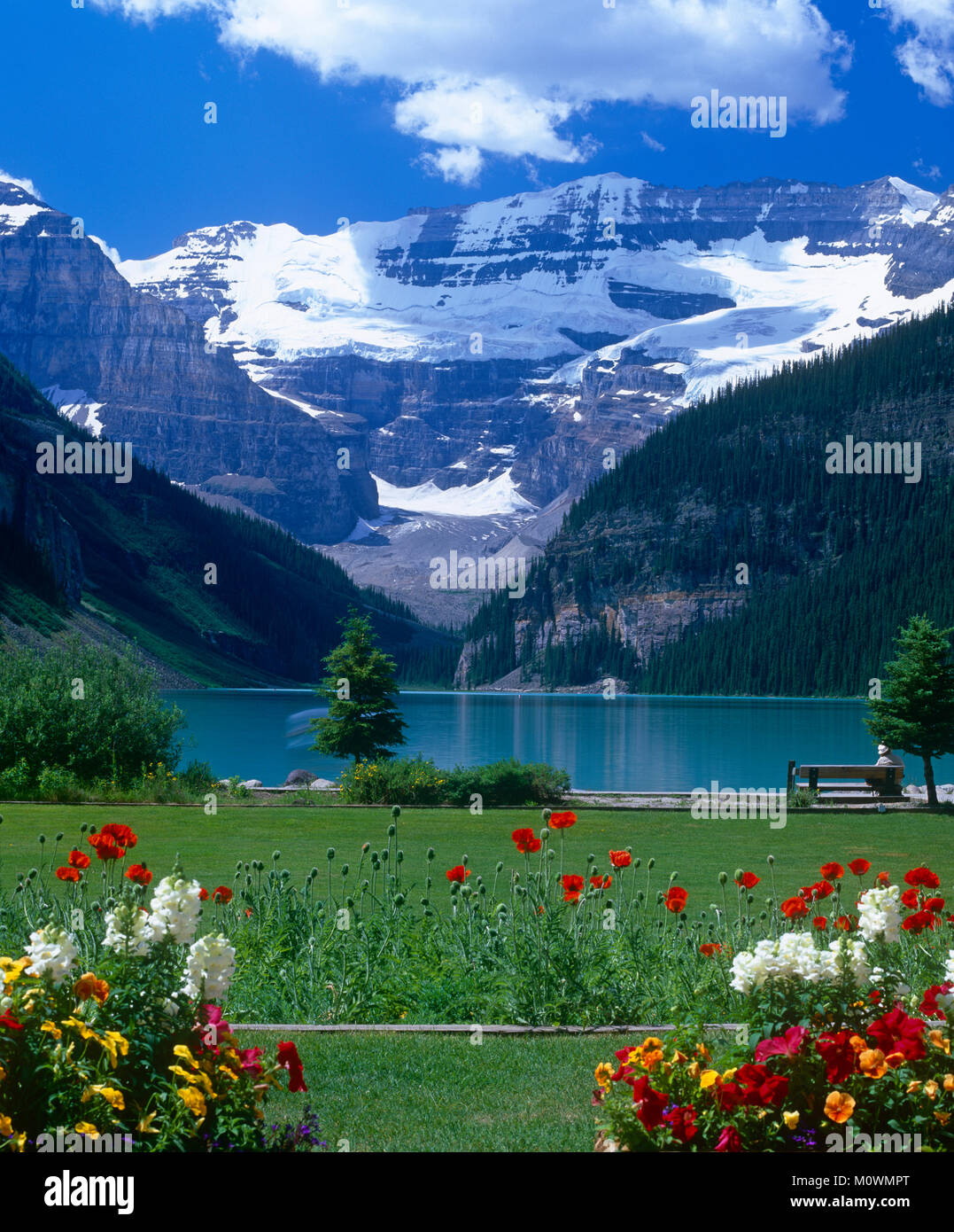 Lake Louise and the Victoria Glacier, Banff National Park, Alberta ...