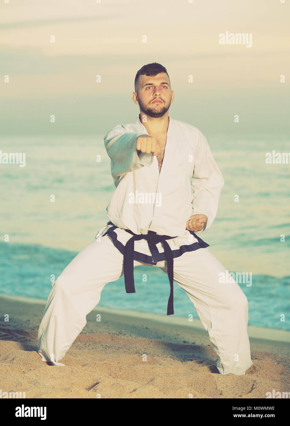 Wushu stance hi-res stock photography and images - Alamy