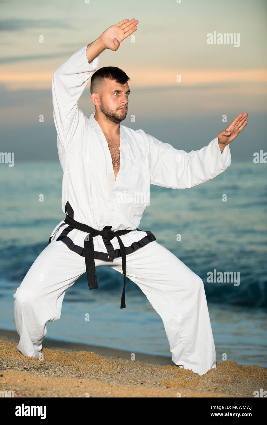 Handsome man doing karate at ocean quay outdoor Stock Photo - Alamy