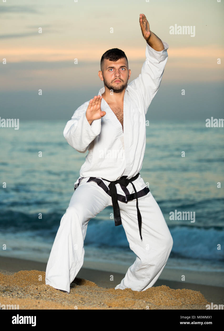 Bunkai hi-res stock photography and images - Alamy