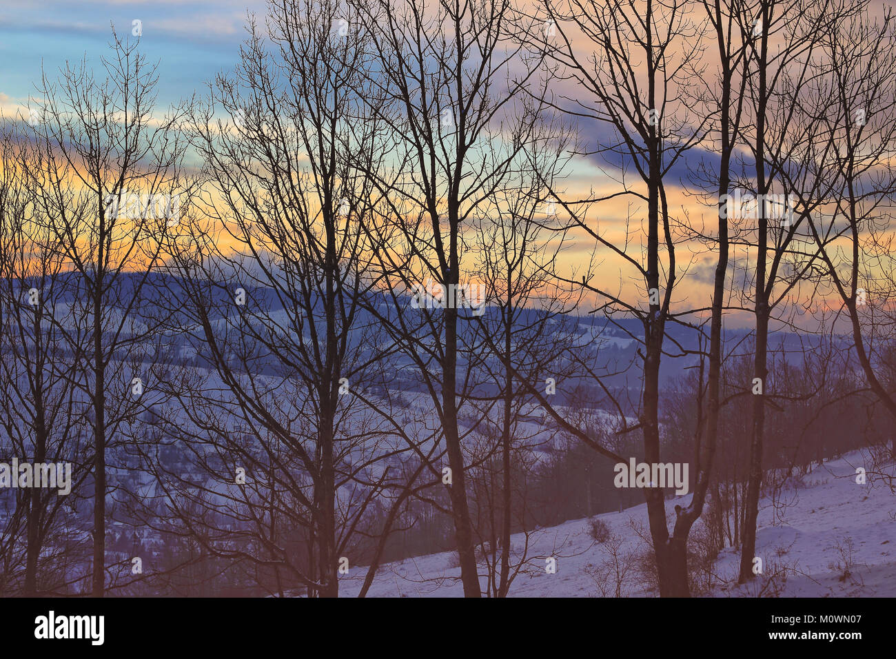 Sunny winter morning in a beautiful area Stock Photo - Alamy