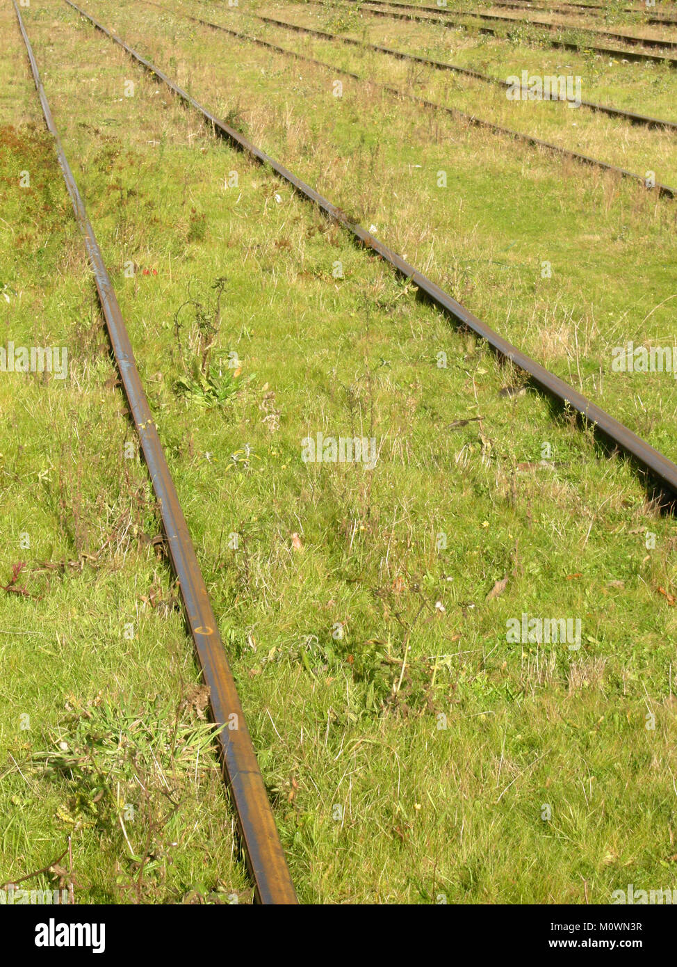 Overgrown railway tracks Stock Photo - Alamy