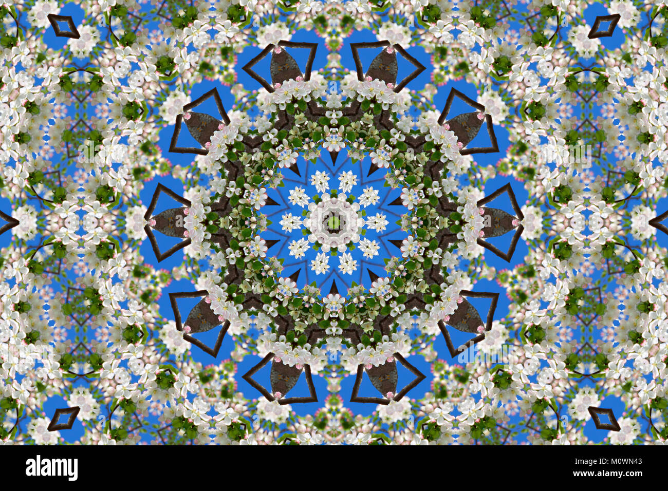 Ornamental mandala color background hi-res stock photography and images ...