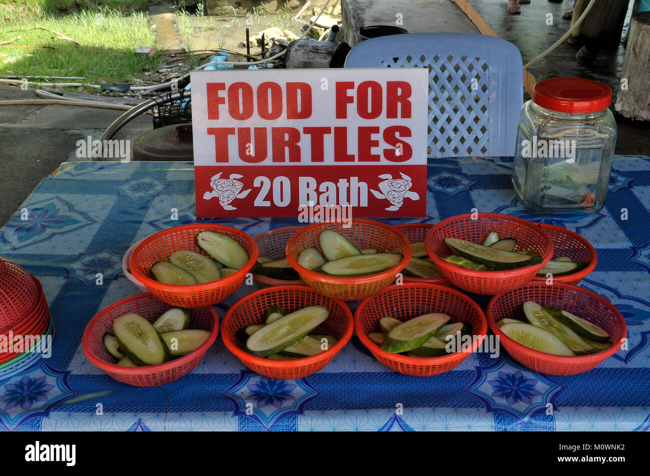 Food for turtles Stock Photo - Alamy