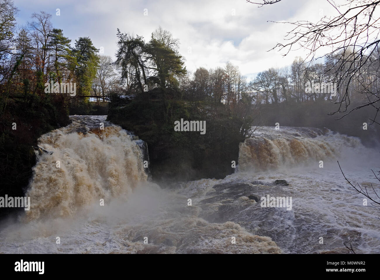 Bonnington Linn in Winter sunshine. The Falls of Clyde, Bonnington ...
