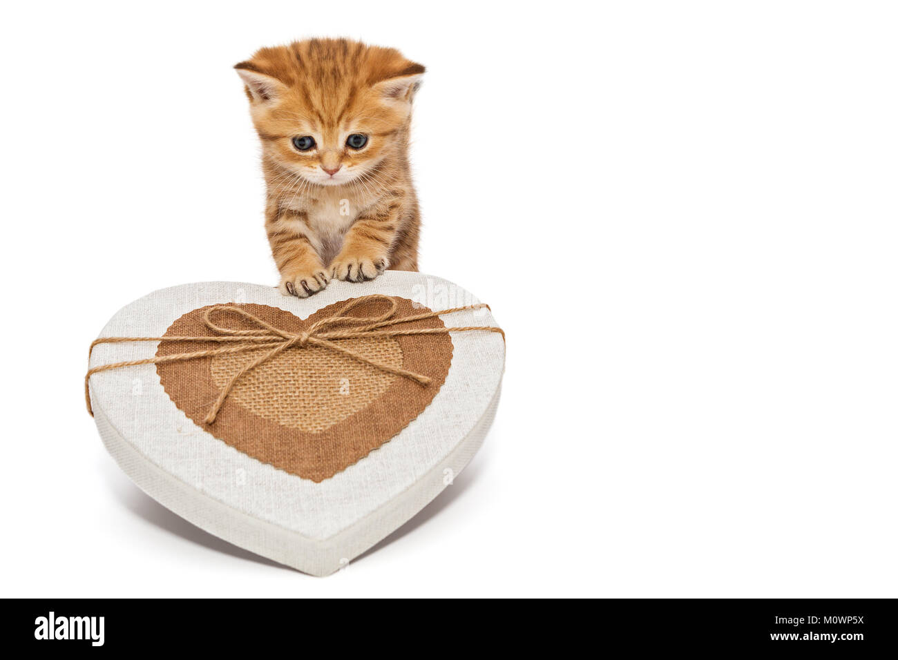 Little gift box heart Cut Out Stock Images & Pictures - Alamy