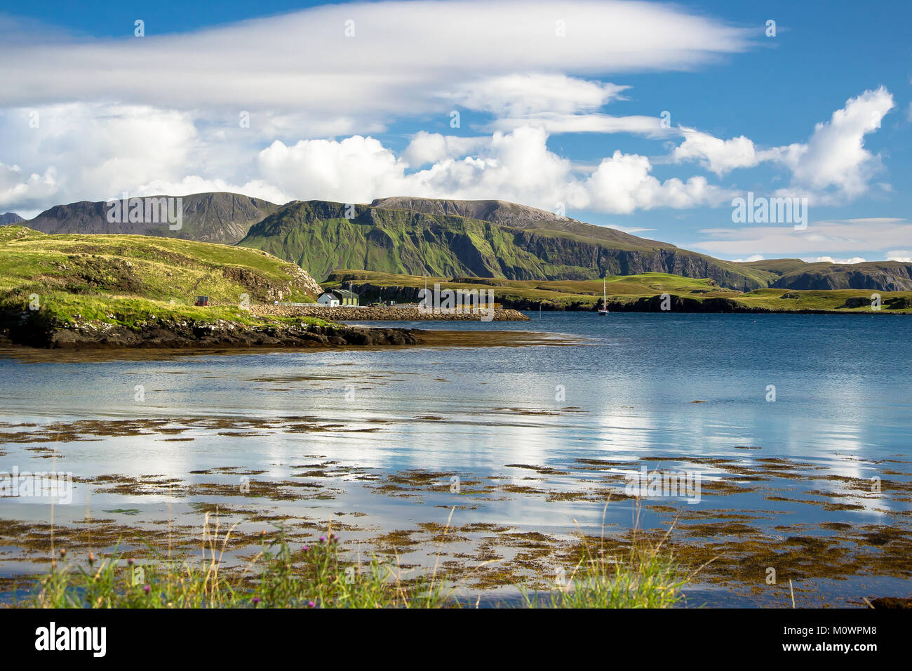 Canna scotland hi-res stock photography and images - Alamy