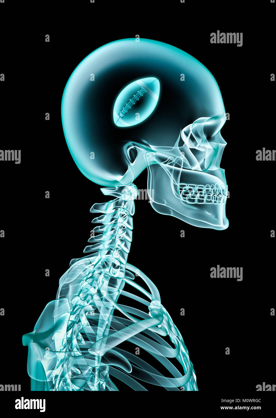 X-ray American football fan / 3D illustration of skeleton x-ray showing ...