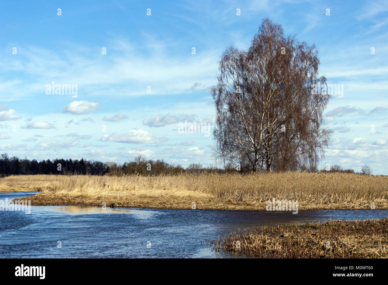 Autumnal landscape with a tree and a river Stock Photo - Alamy