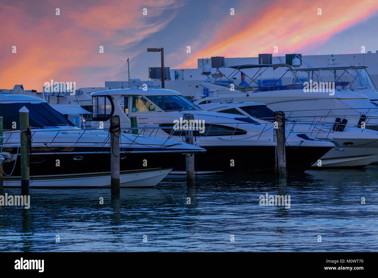 Many Yachts at Blue Sunset in Miami Stock Photo - Alamy