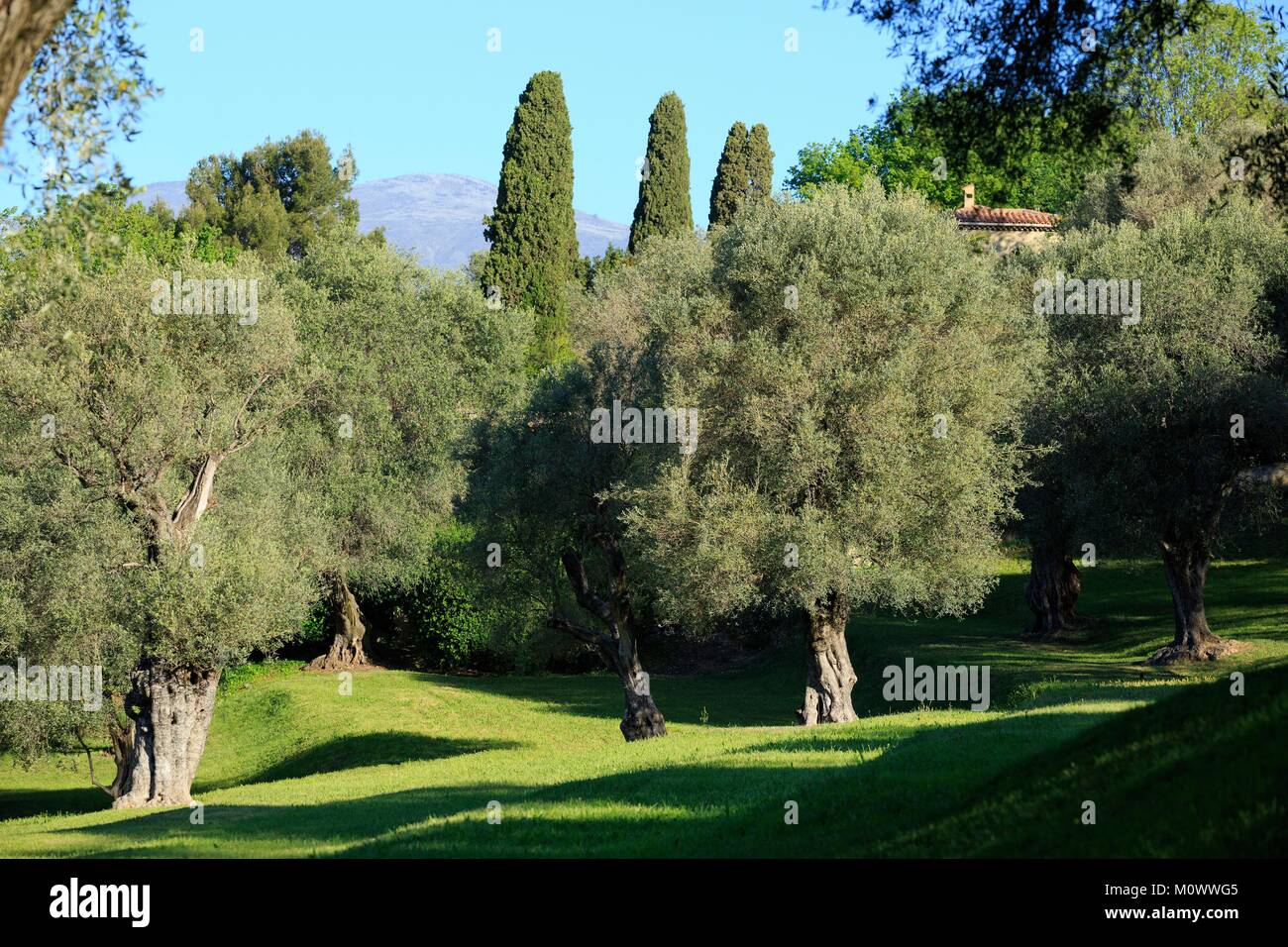 Renoir Museum France Cagnes Sur Mer High Resolution Stock Photography ...