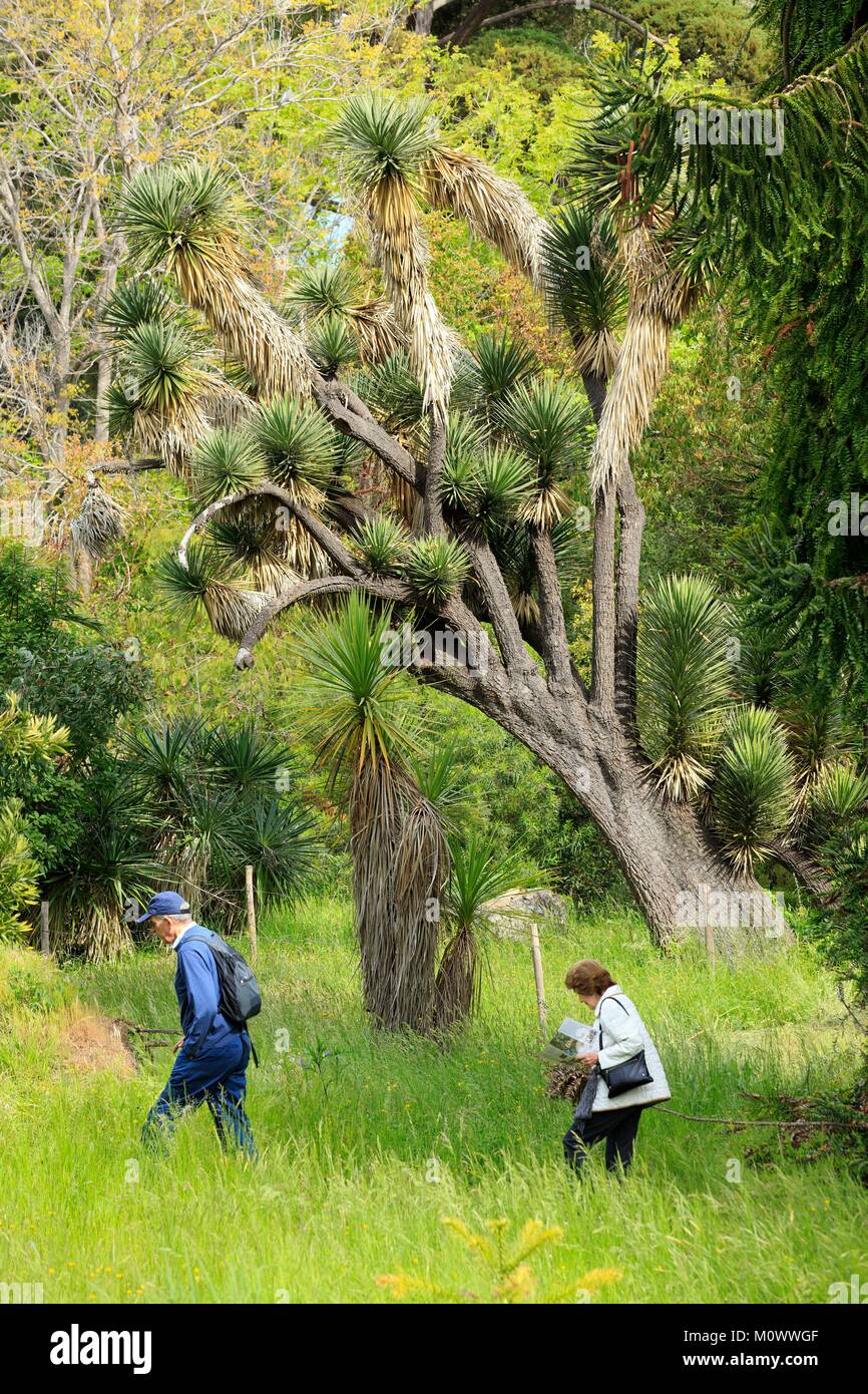 France,Alpes Maritimes,Antibes,The Botanical Garden of Villa Thuret ...