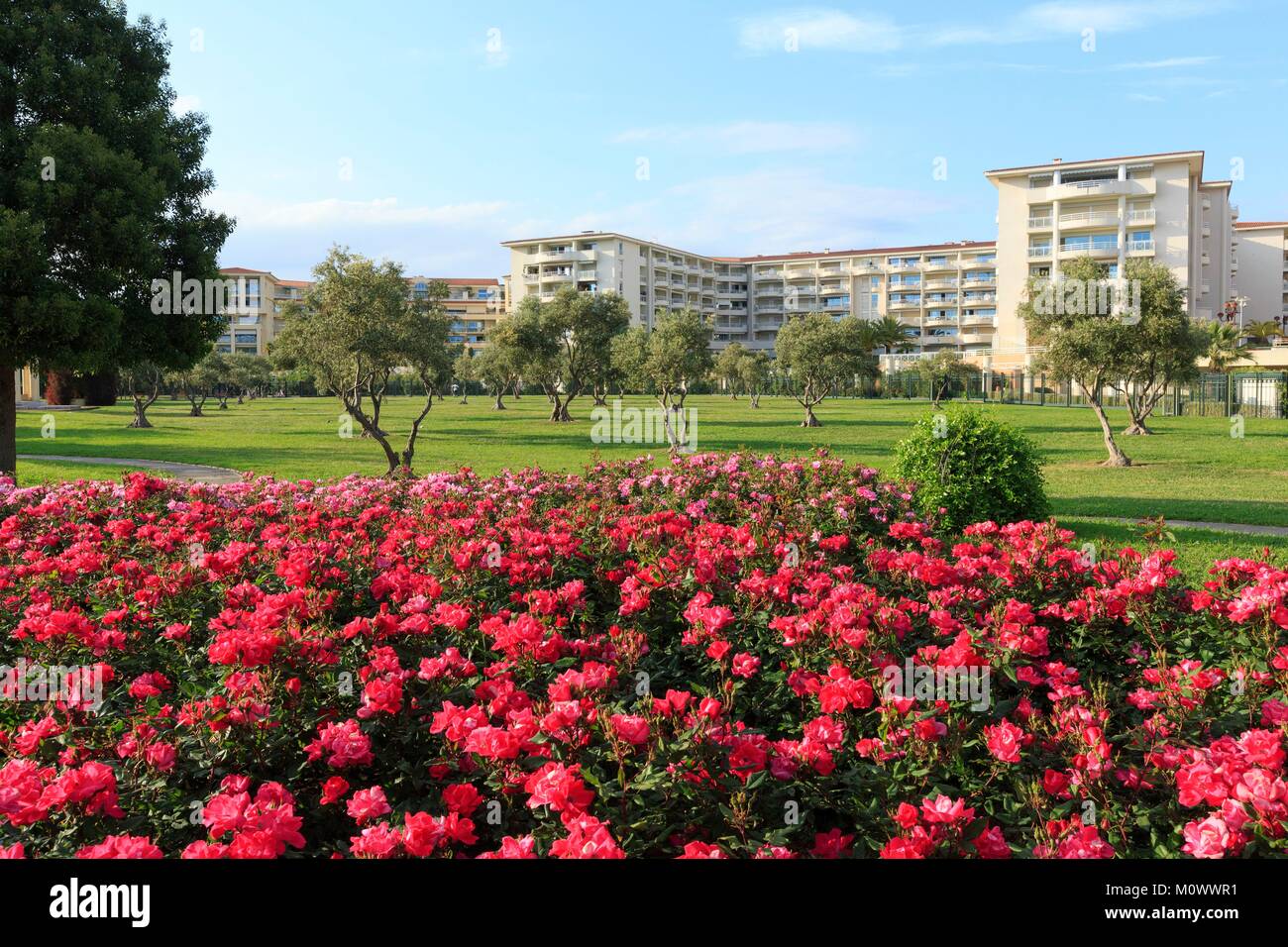 France,Alpes Maritimes,Antibes,Parc Exflora Stock Photo - Alamy