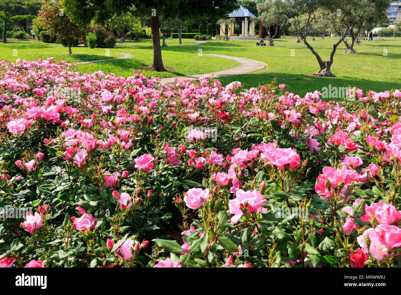 France,Alpes Maritimes,Antibes,Parc Exflora Stock Photo - Alamy
