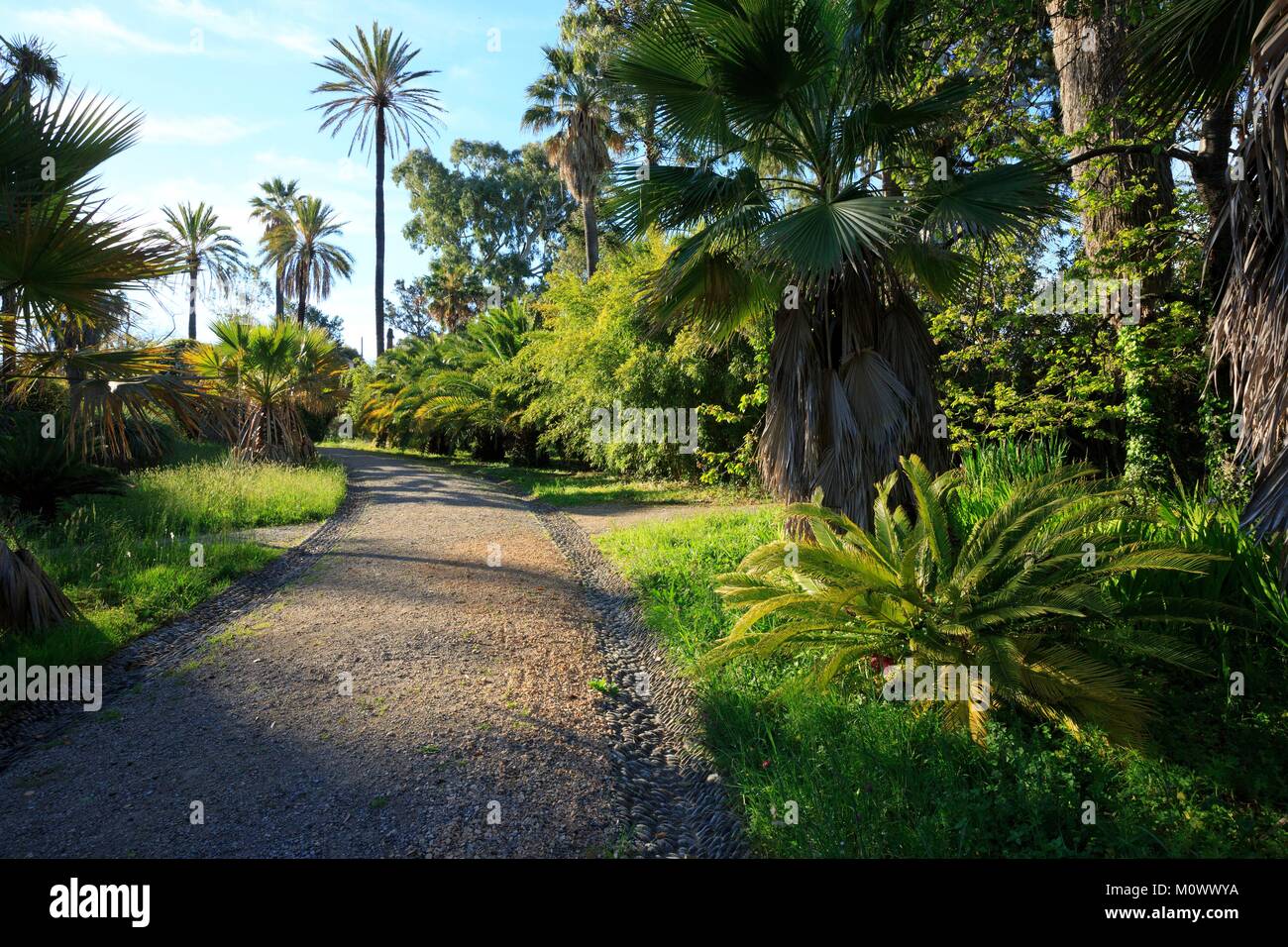 France,Alpes Maritimes,Antibes,The Botanical Garden of Villa Thuret ...