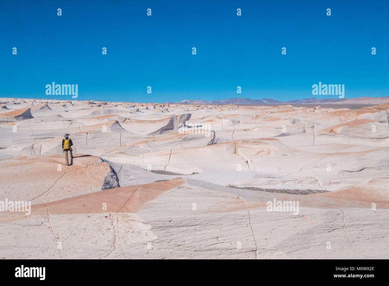 Argentina,Catamarca Province,Puna desert,El Penon,Campo de Piedra Pomez ...