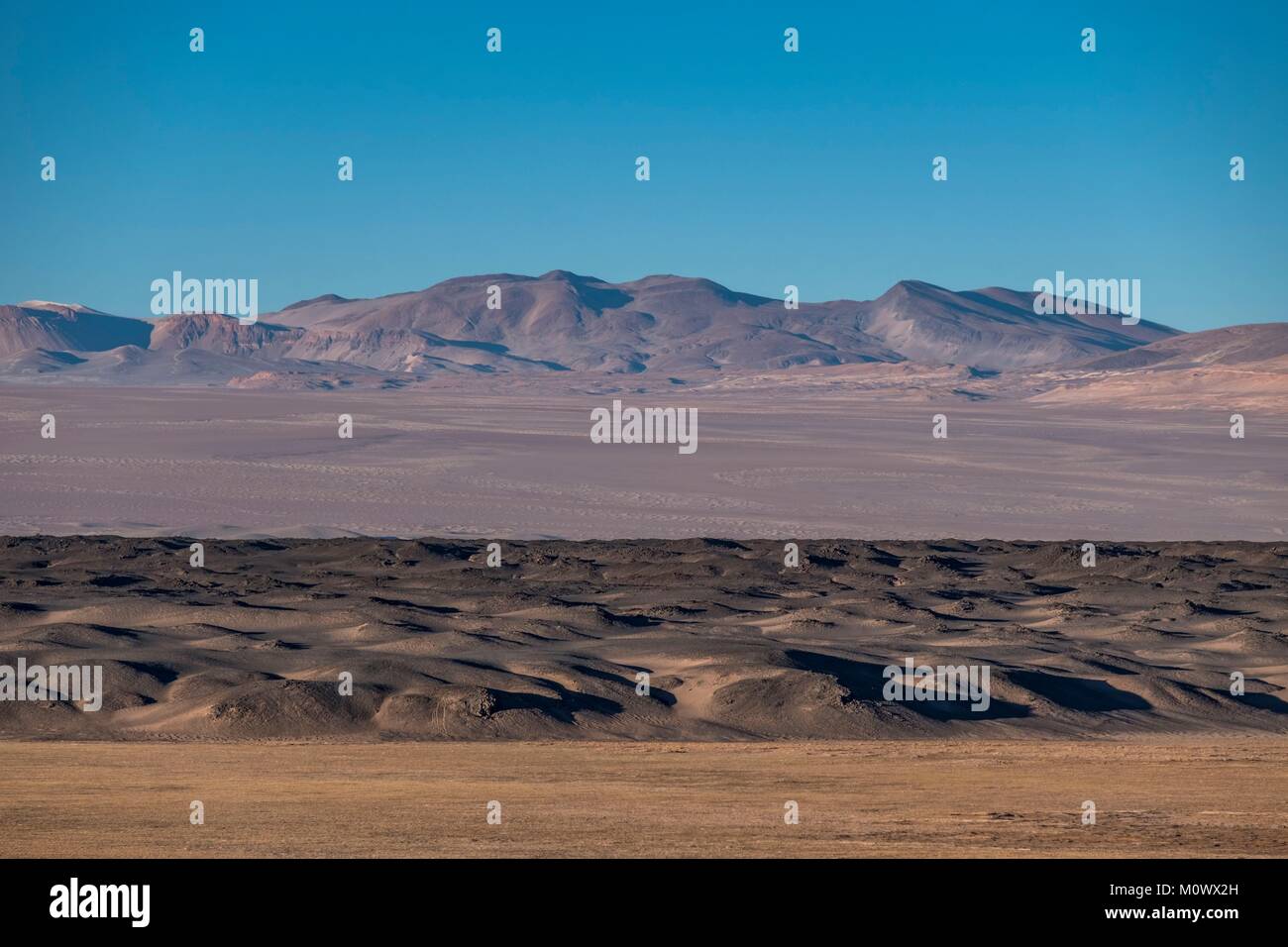 Argentine,Catamarca province,Puna desert,El Penon,lava flow of Carachi ...