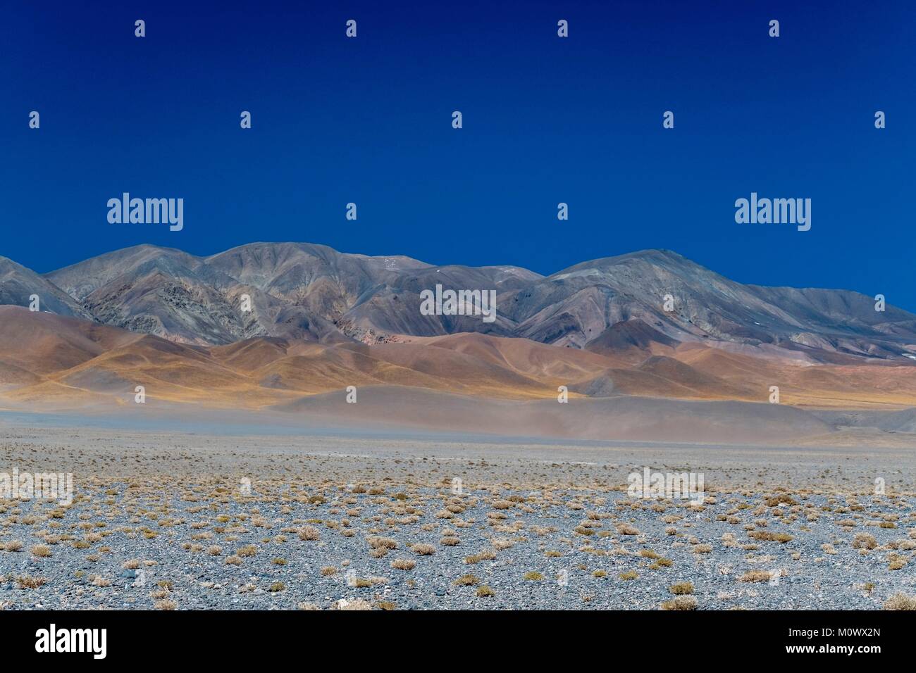 Argentine,Catamarca province,Puna desert,El Penon,Laguna Blanca UNESCO ...