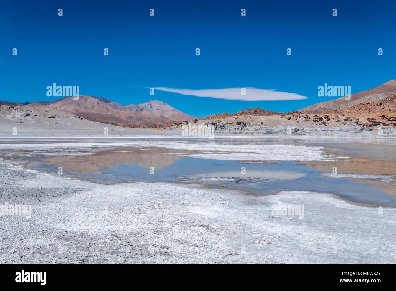 Argentine,Catamarca province,Puna desert,El Penon,Laguna Grande on the ...