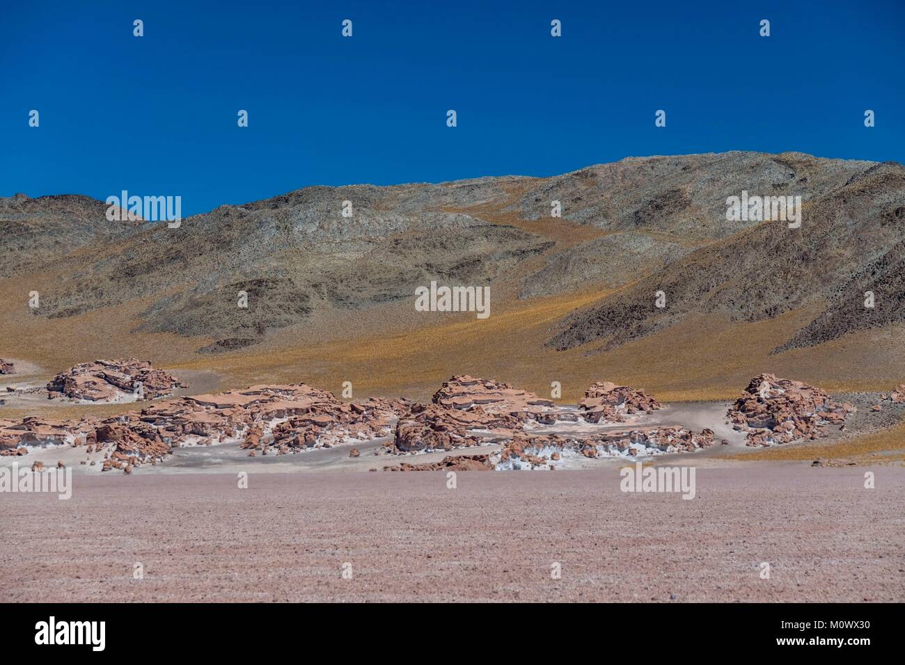Argentine,Catamarca province,Puna desert,El Penon,laguna Grande,Laguna ...