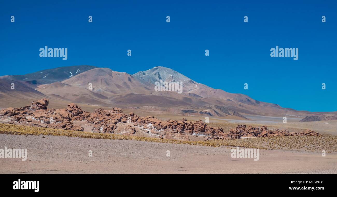 Argentine,Catamarca province,Puna desert,El Penon,laguna Grande,Laguna ...