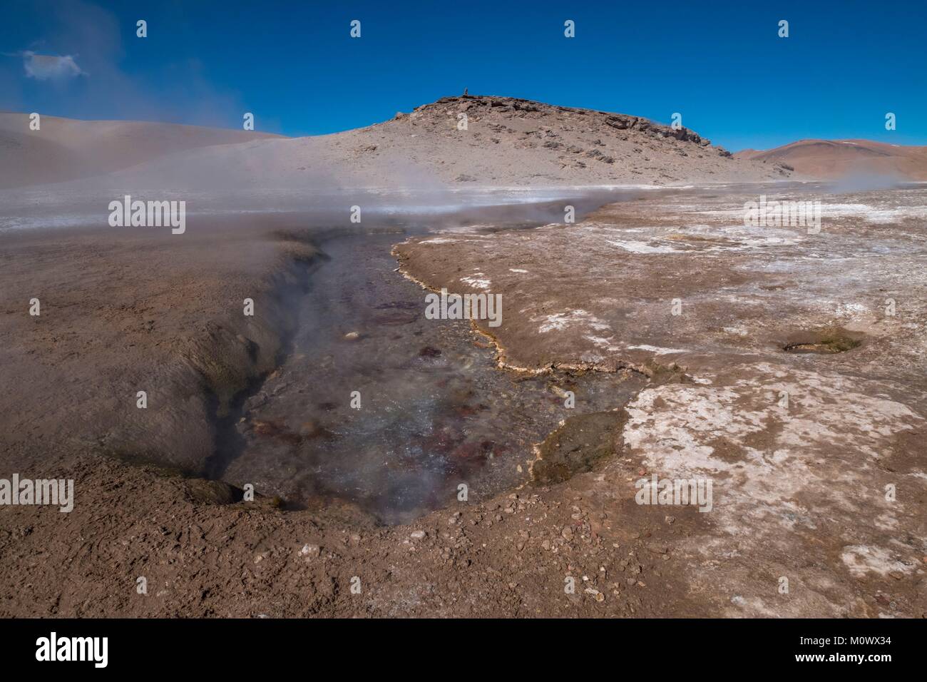 Argentine,Catamarca province,Puna desert,El Penon,hot volcanic springs ...