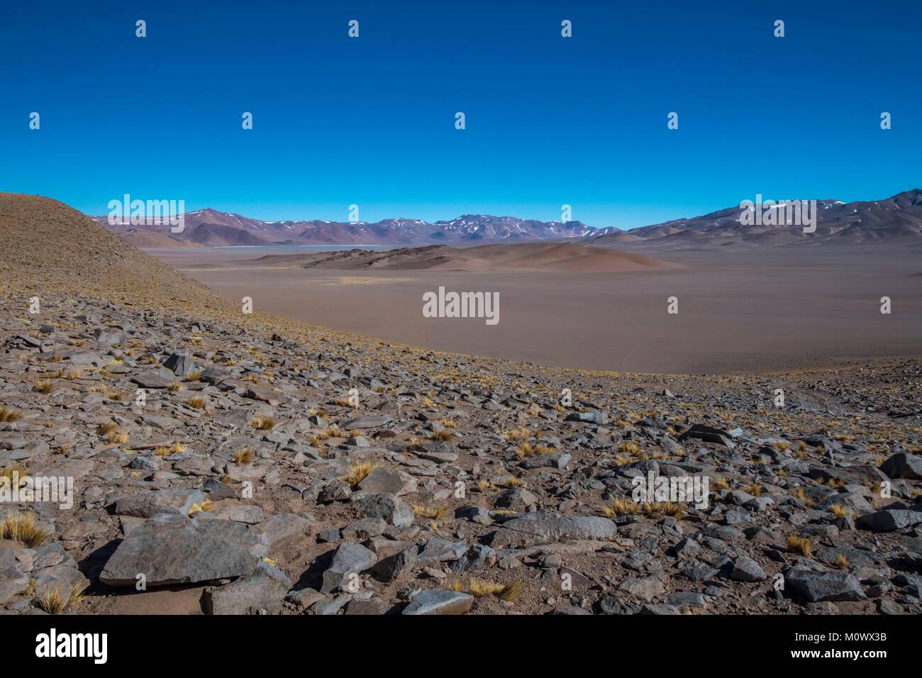 Argentine,Catamarca province,Puna desert,El Penon,crater of volcan ...