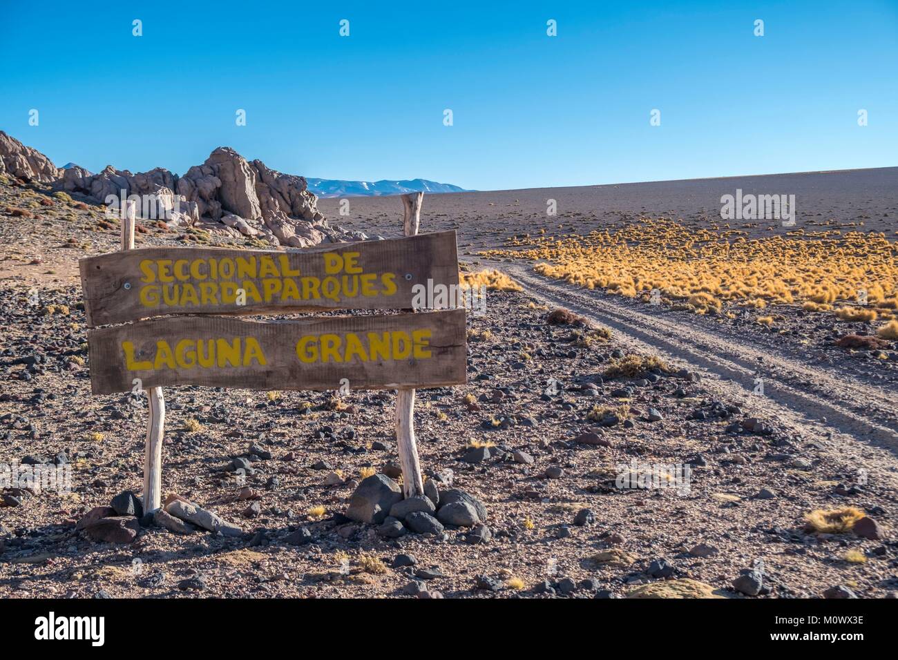 Argentine,Catamarca province,Puna desert,El Penon,Laguna Grande on the ...