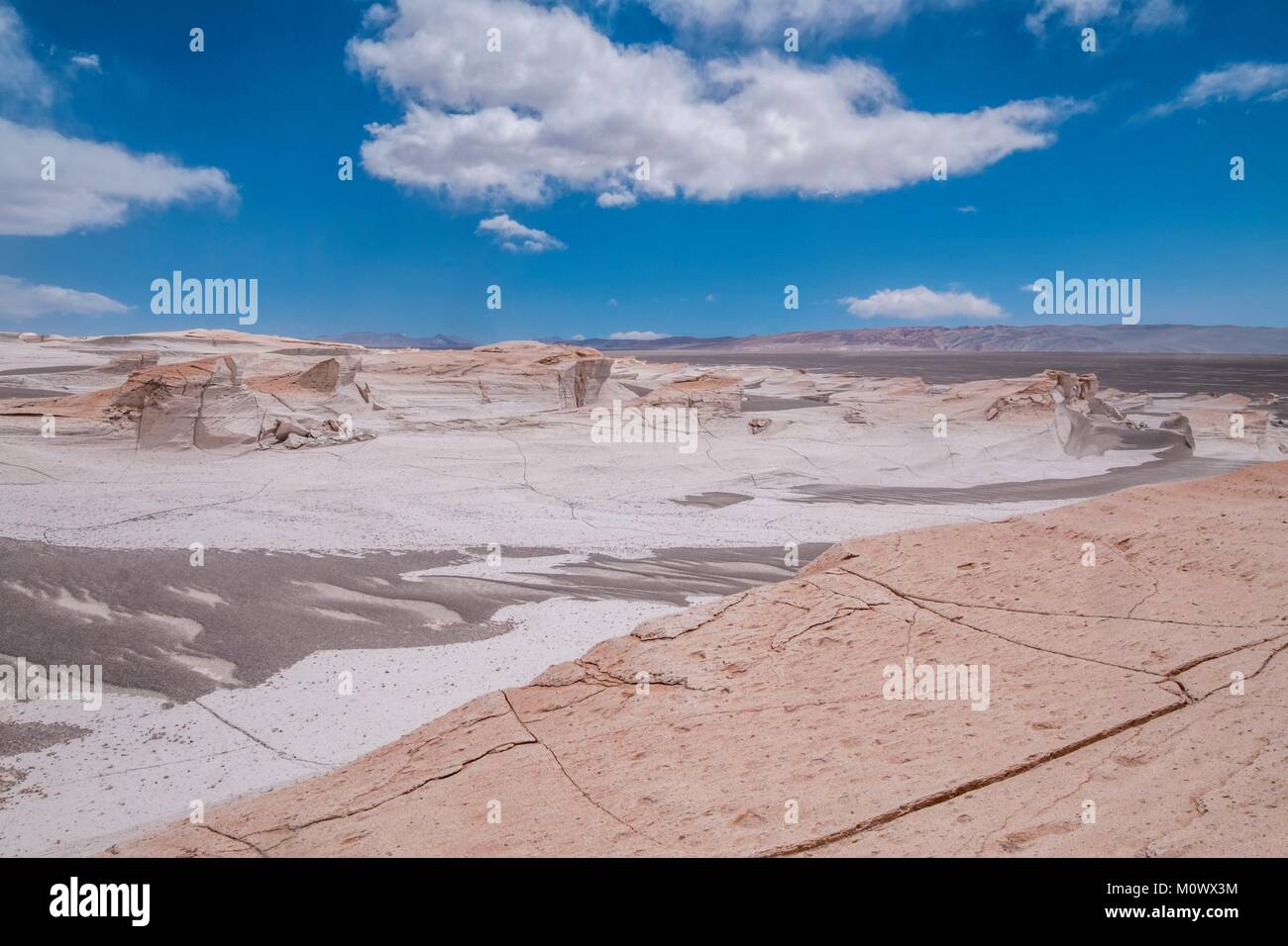 Argentina,Catamarca Province,Puna desert,El Penon,Campo de Piedra Pomez ...