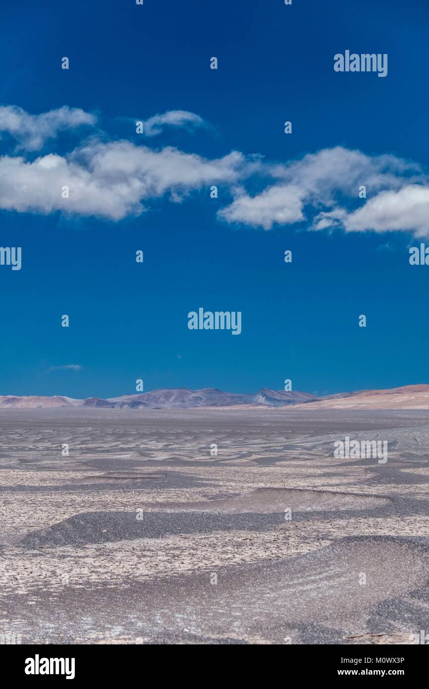 Argentine,Catamarca province,Puna desert,El Penon,sand dunes,campo de ...