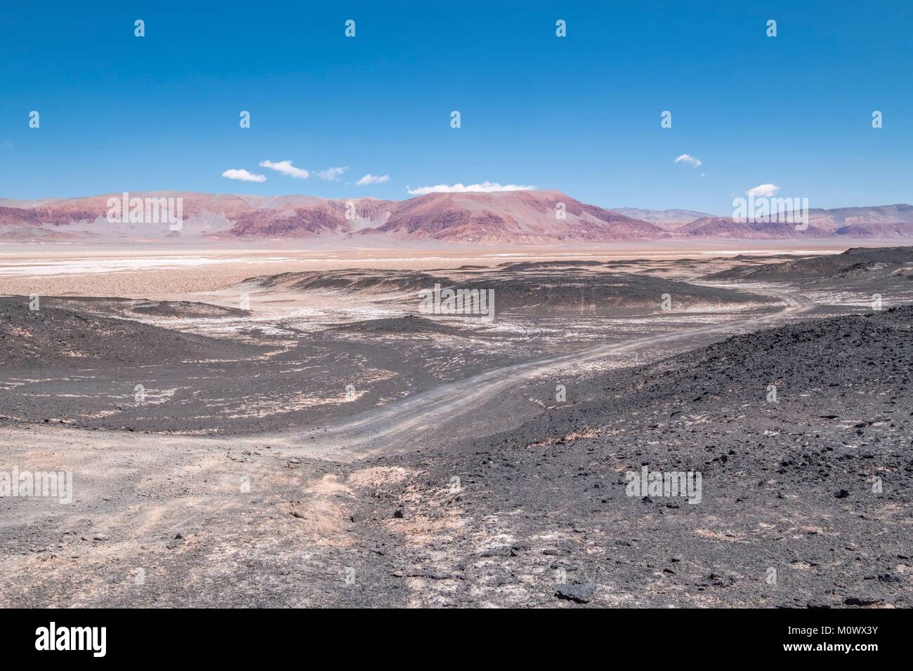 Argentine,Catamarca province,Puna desert,El Penon,Carachi Pampa laguna ...