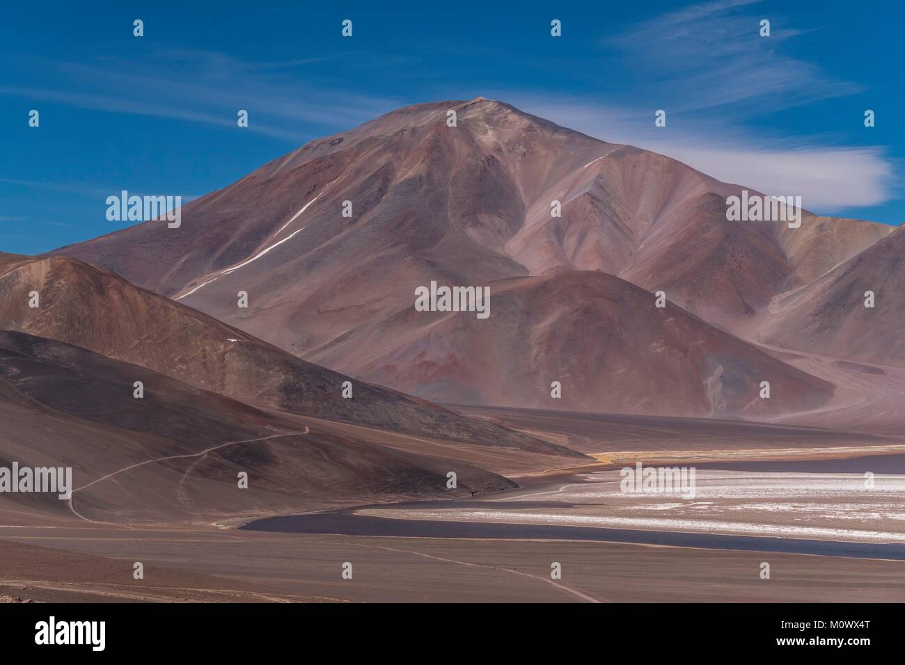 Argentine,Catamarca province,Puna desert,Laguna Negra,Chaschuil valley ...