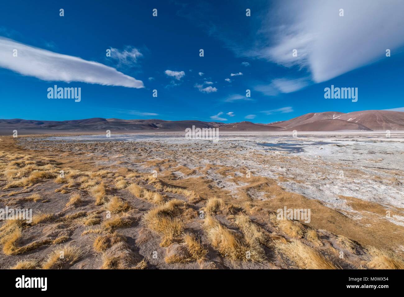 Argentine,Catamarca province,Puna desert,Chaschuil valley,route 60 ...