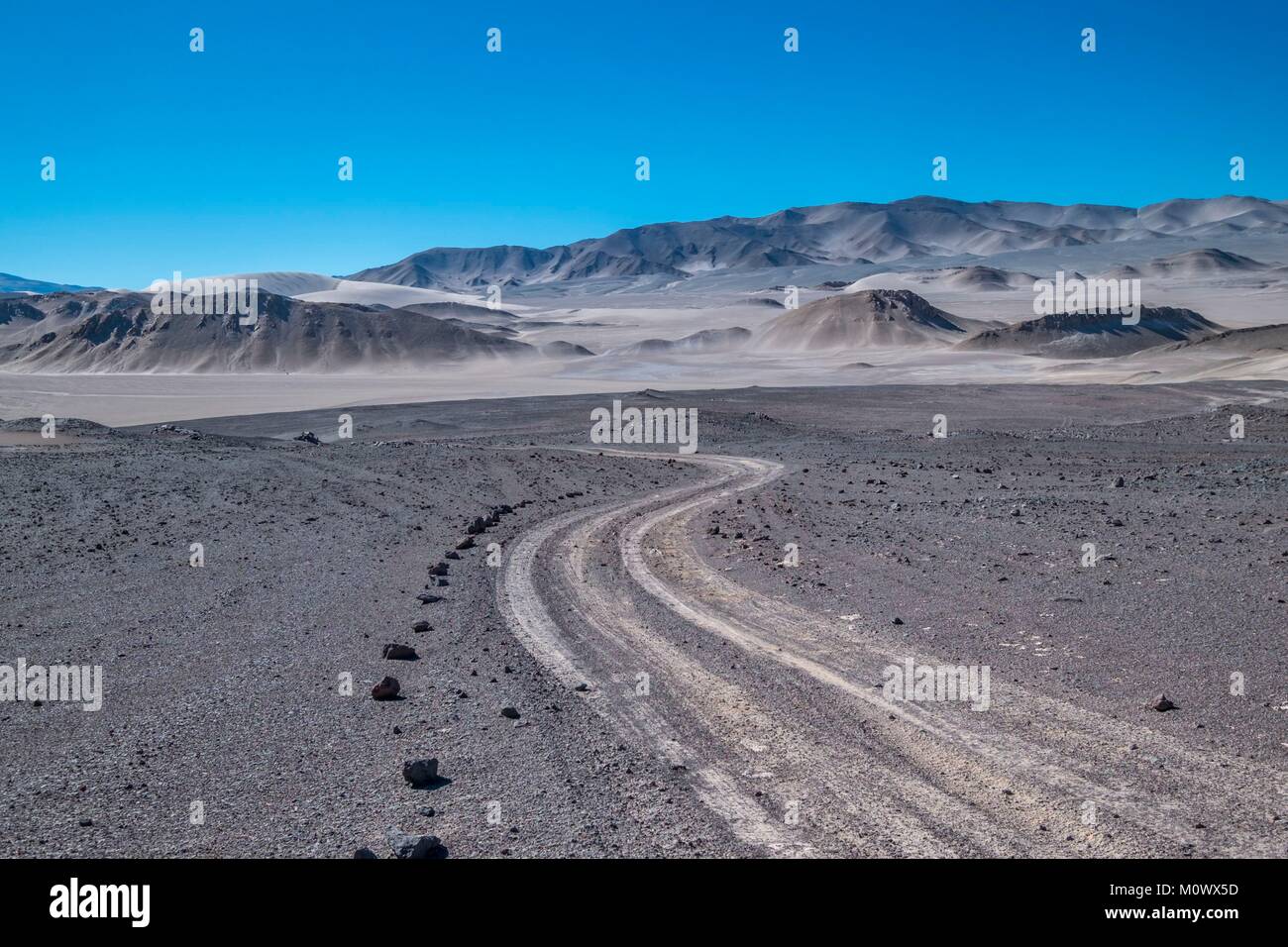 Argentine,Catamarca province,Puna desert,El Penon,track near campo de ...