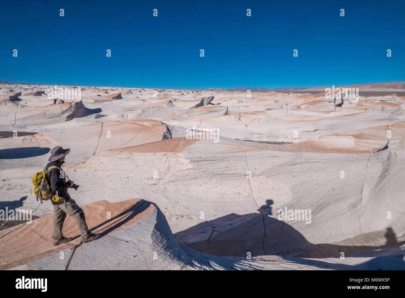 Argentina,Catamarca Province,Puna desert,El Penon,Campo de Piedra Pomez ...