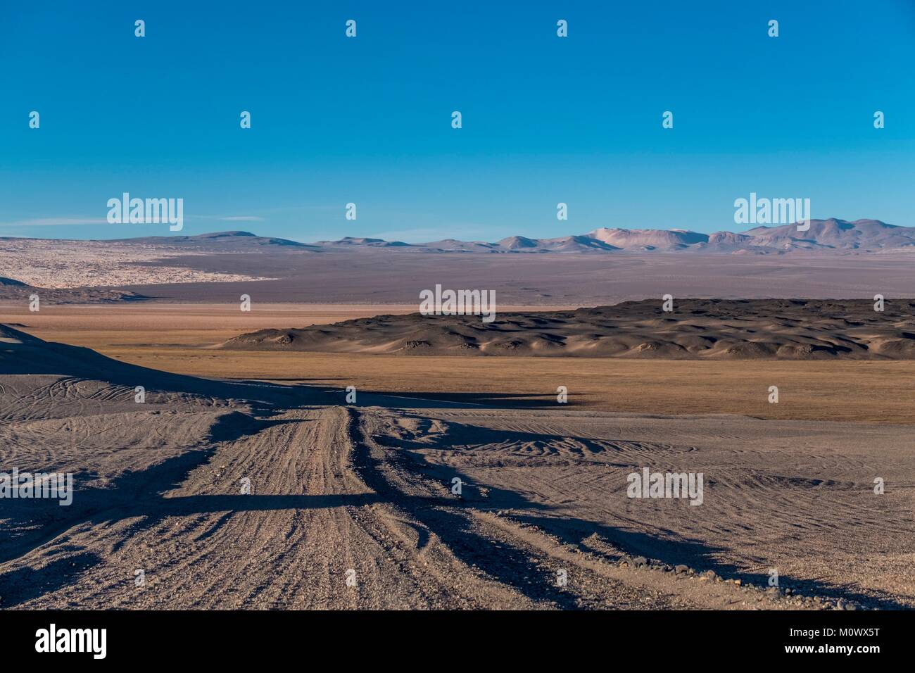 Argentine,Catamarca province,Puna desert,El Penon,lava flow of Carachi ...