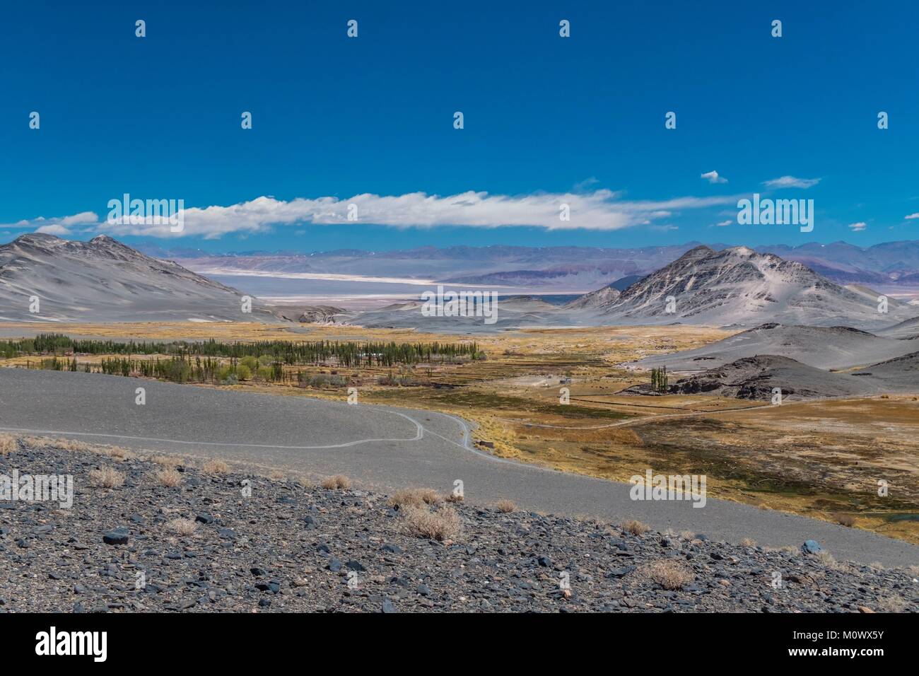 Argentine,Catamarca province,Puna desert,village of El Penon,campo de ...