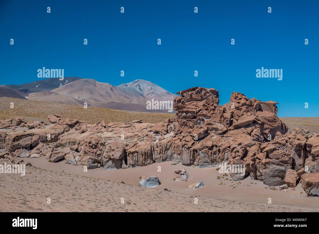 Argentine,Catamarca province,Puna desert,El Penon,laguna Grande,Laguna ...