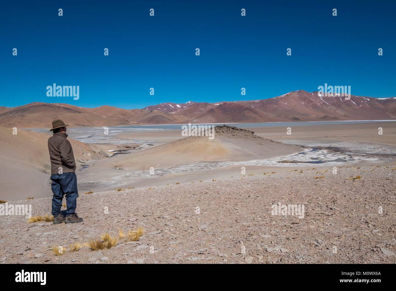 Argentine,Catamarca province,Puna desert,El Penon,laguna Diamante in ...