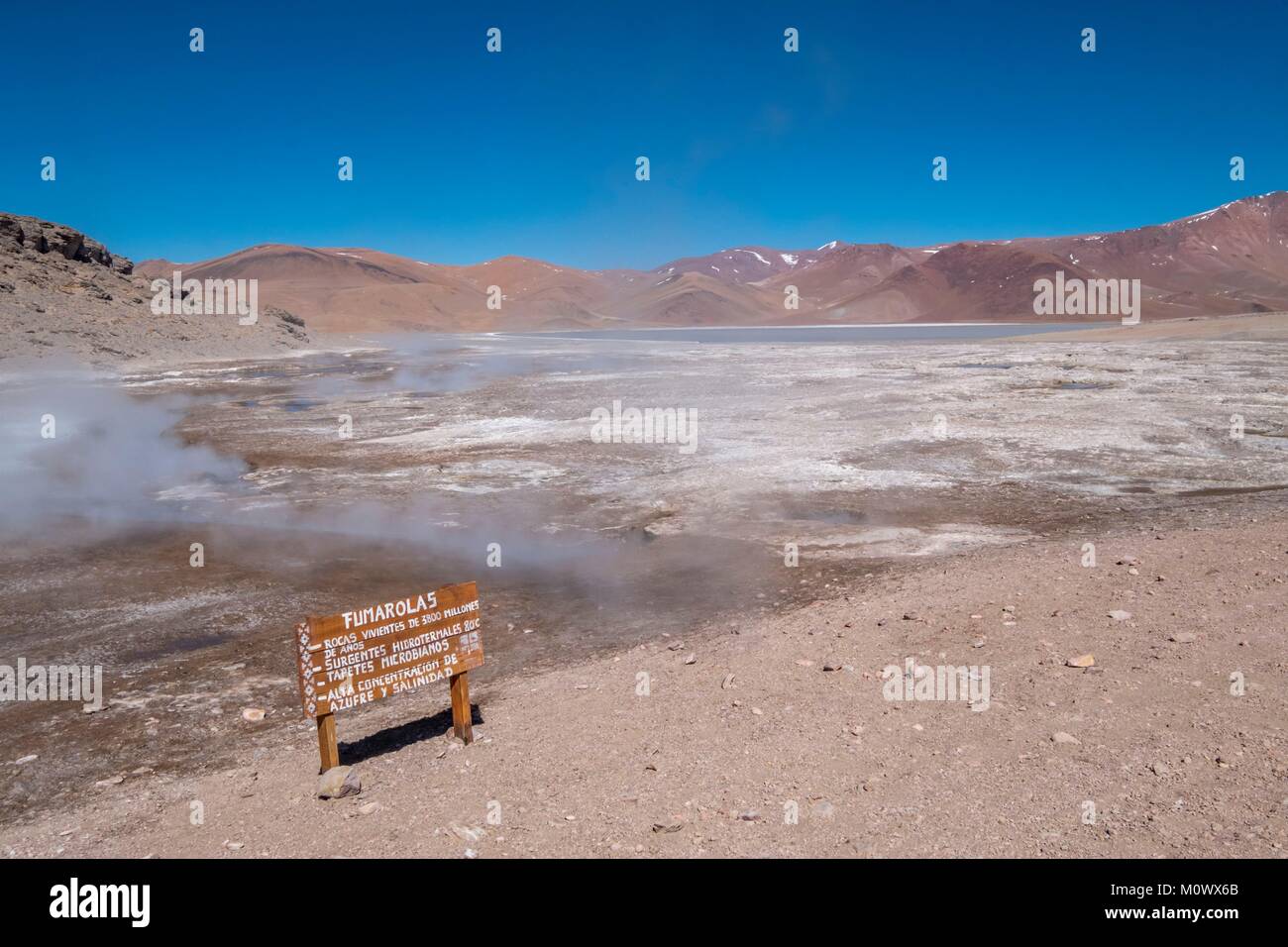 Argentine,Catamarca province,Puna desert,El Penon,hot volcanic springs ...